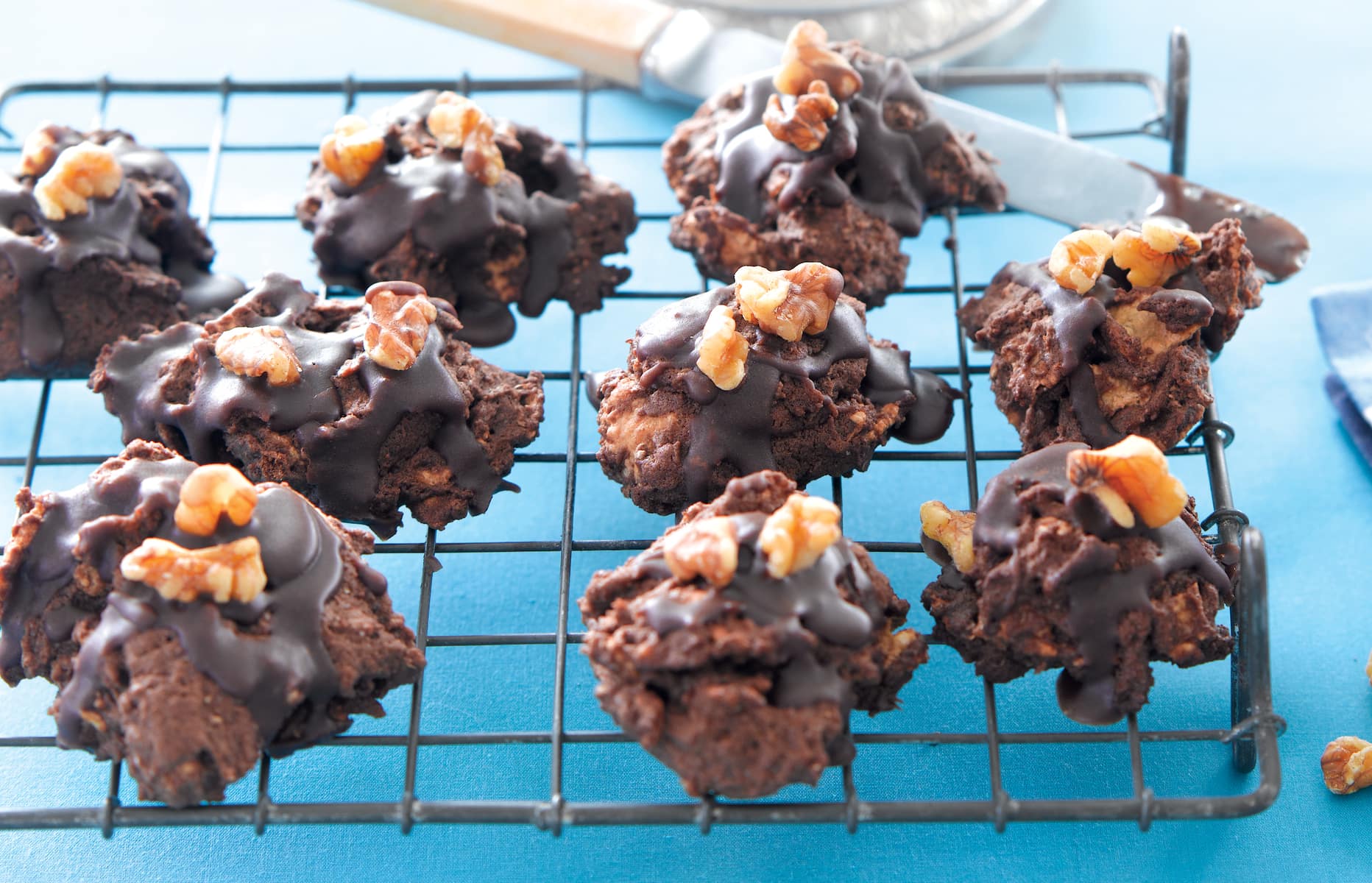 Afghans - My Everyday Wellbeing