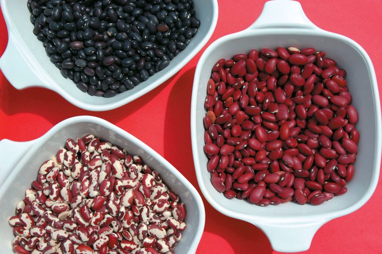 Eat well, spend less: The beginner's guide to beans - My Everyday Wellbeing