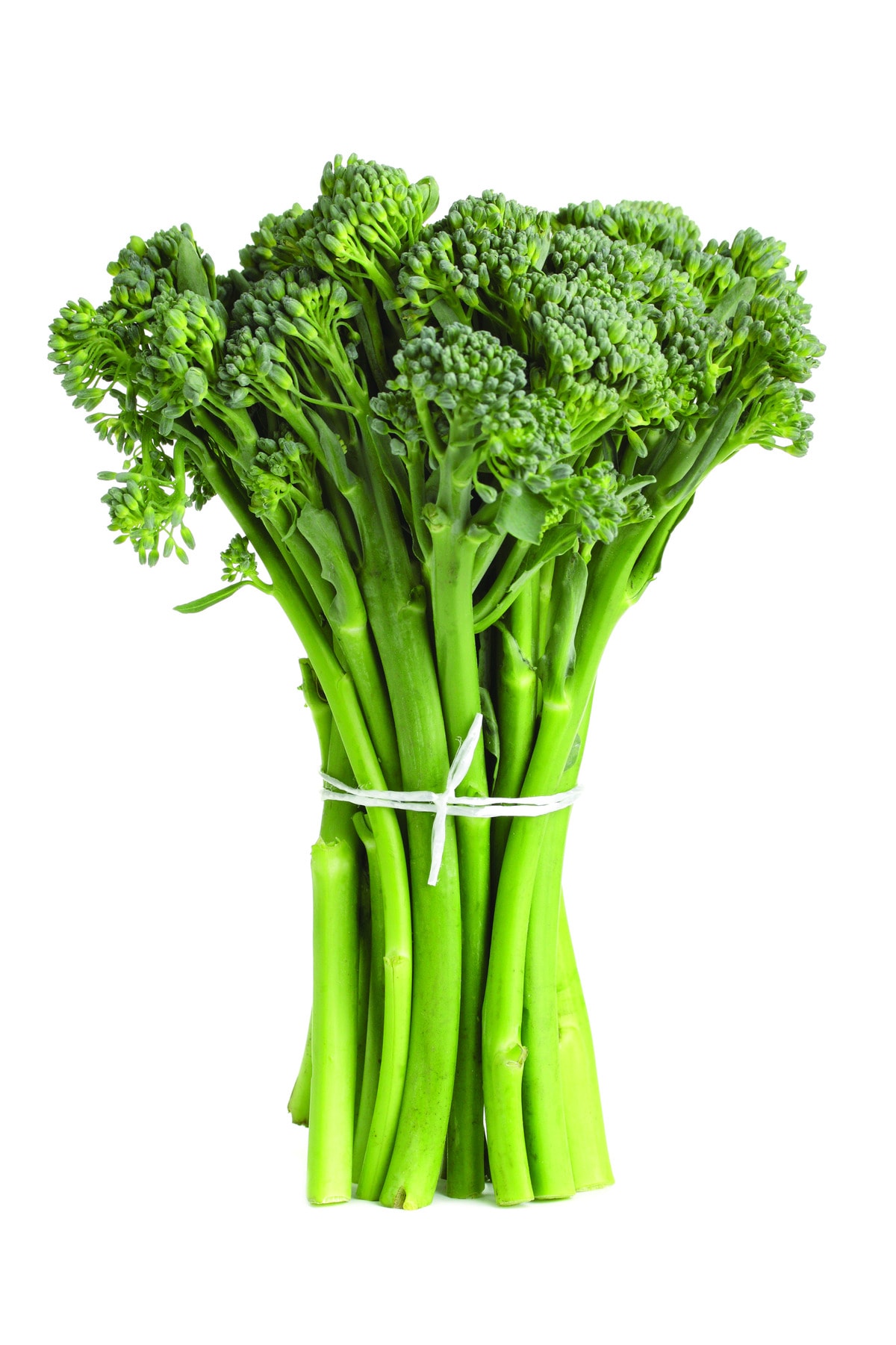 In season mid-winter: Broccolini - My Everyday Wellbeing