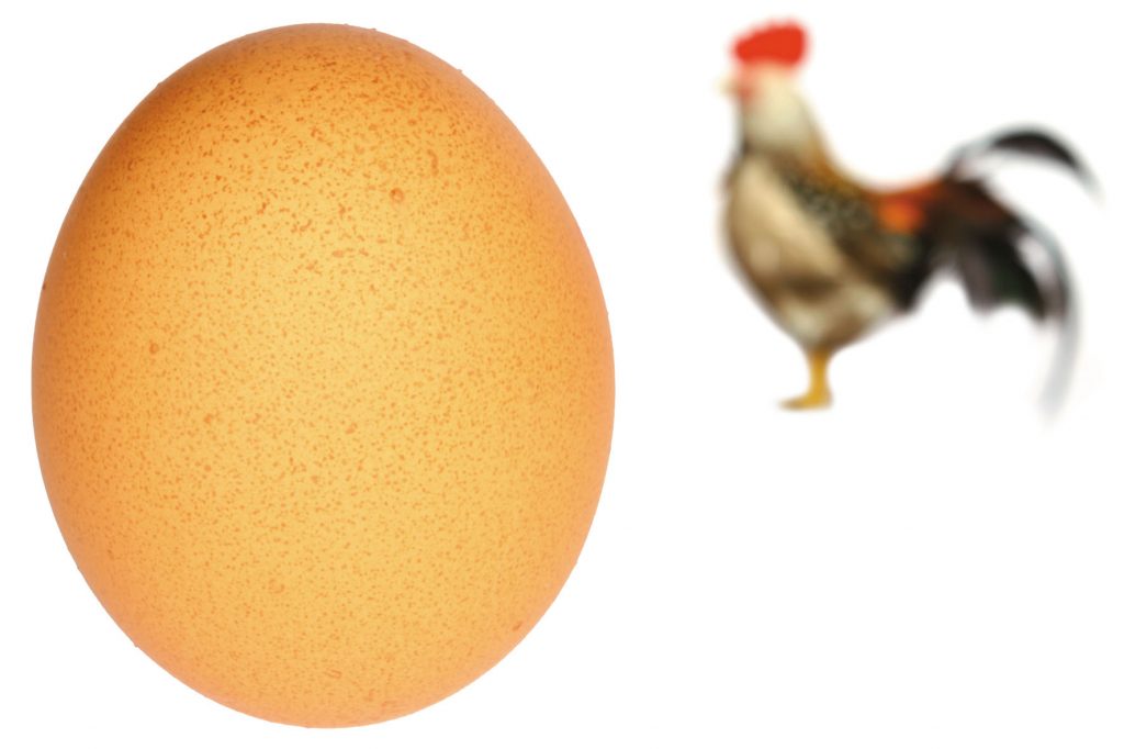 What is free range? - My Everyday Wellbeing