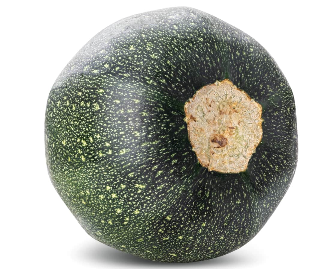 The lost plot: Growing gem squash - My Everyday Wellbeing