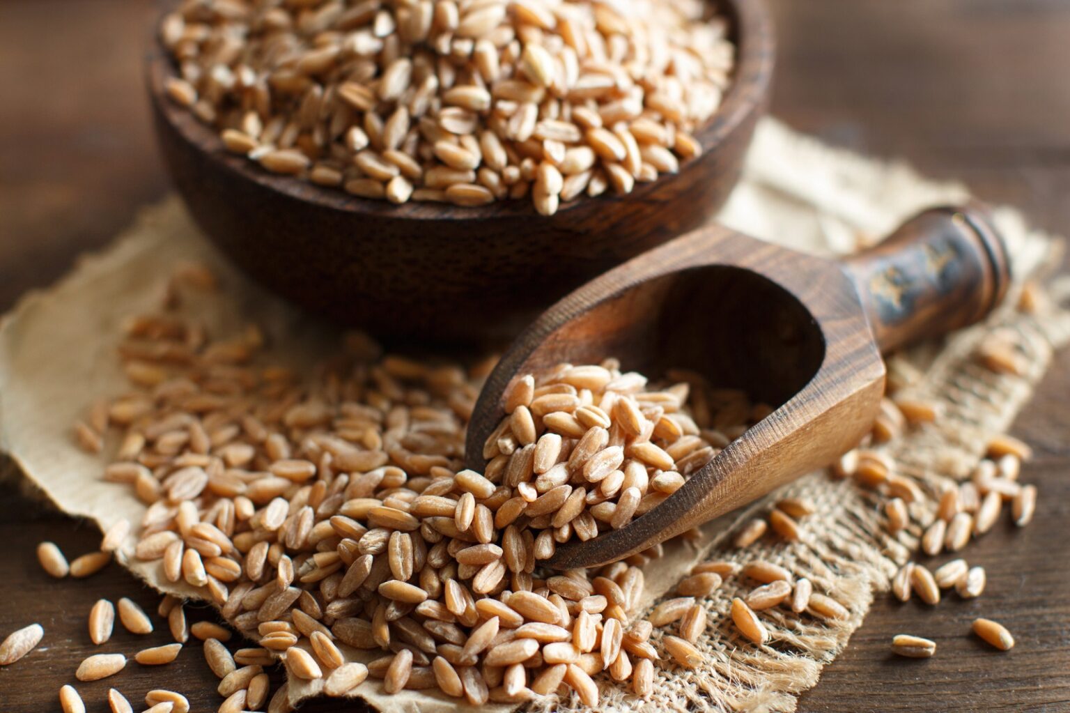 Your guide to good grains - My Everyday Wellbeing