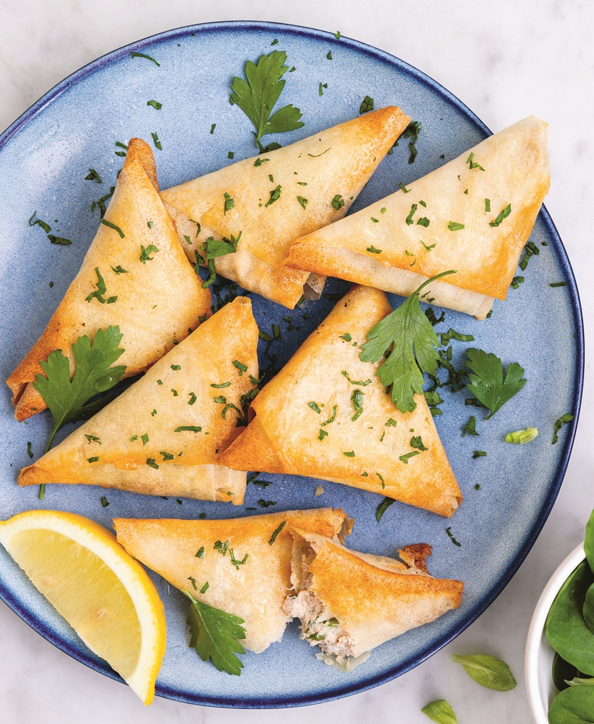 Tuna triangles - My Everyday Wellbeing